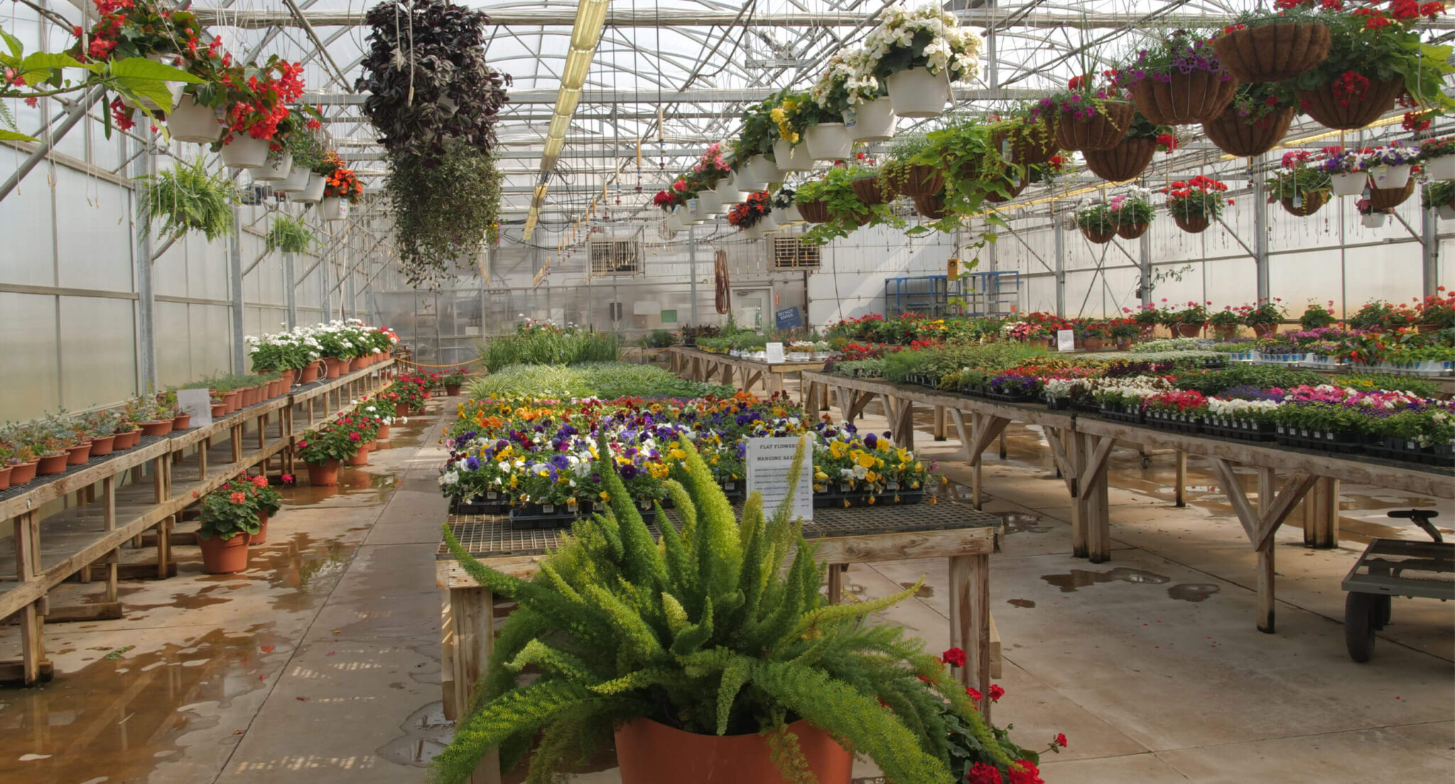 Peckham Farms - Peckham