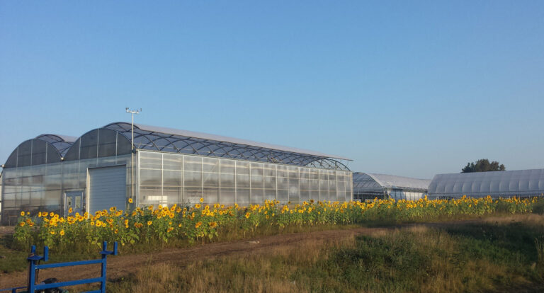 Peckham Farms - Peckham